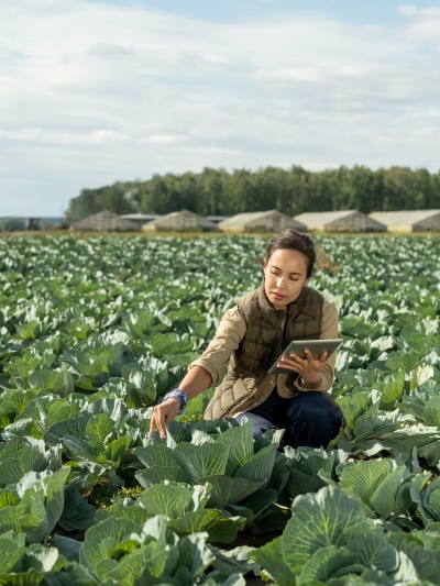 Bitxia Tech - A CMMI Level 3 IT Software Development Company